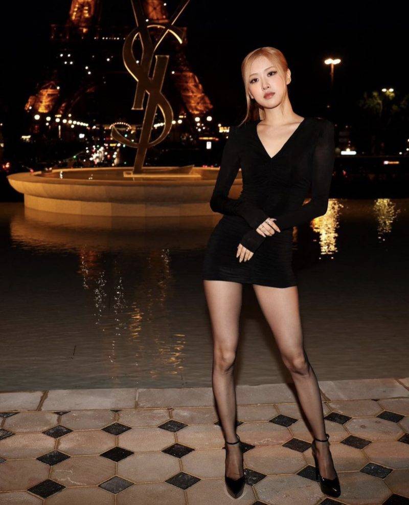  YSL Ros Saint Laurent Fashion Madame